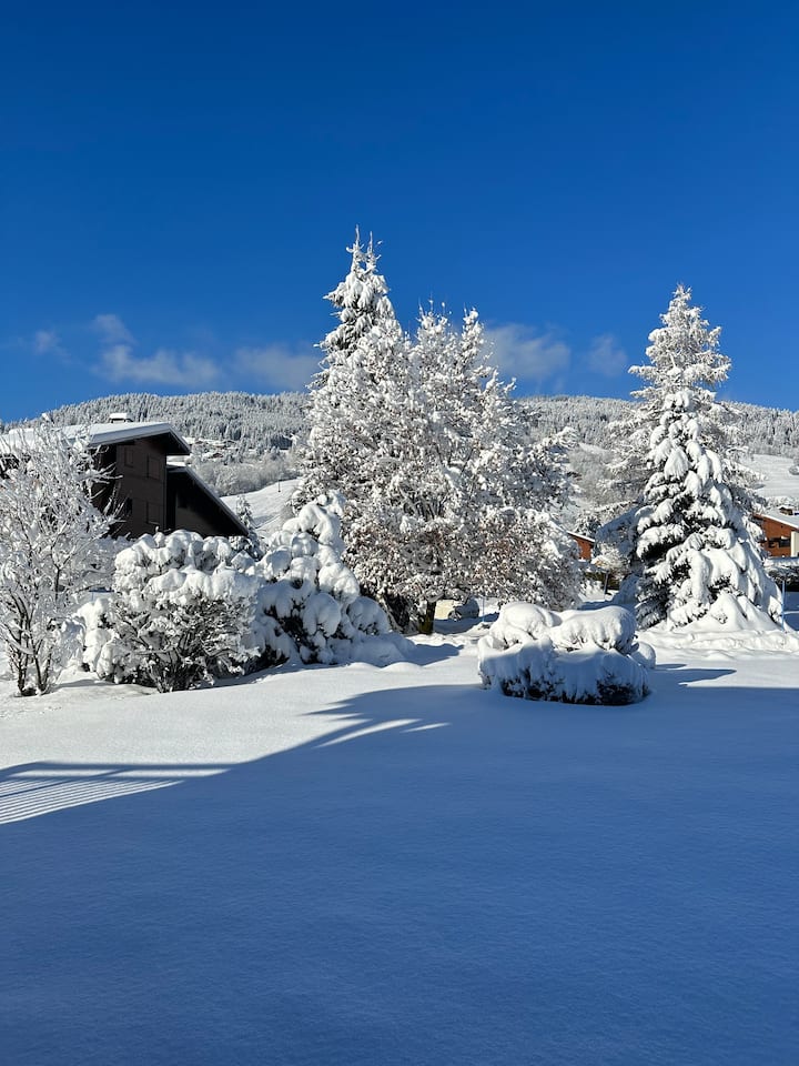Megève/jaillet Studio De Standing 4p Proche Pistes - Megève