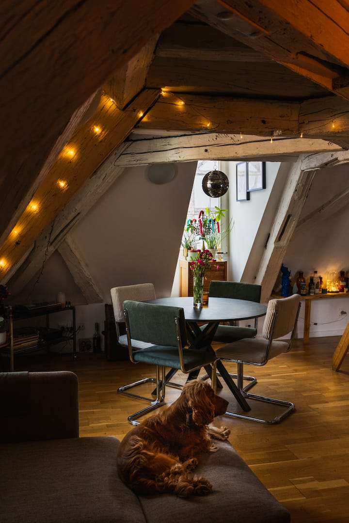L’appartement Des Savons - Estrasburgo