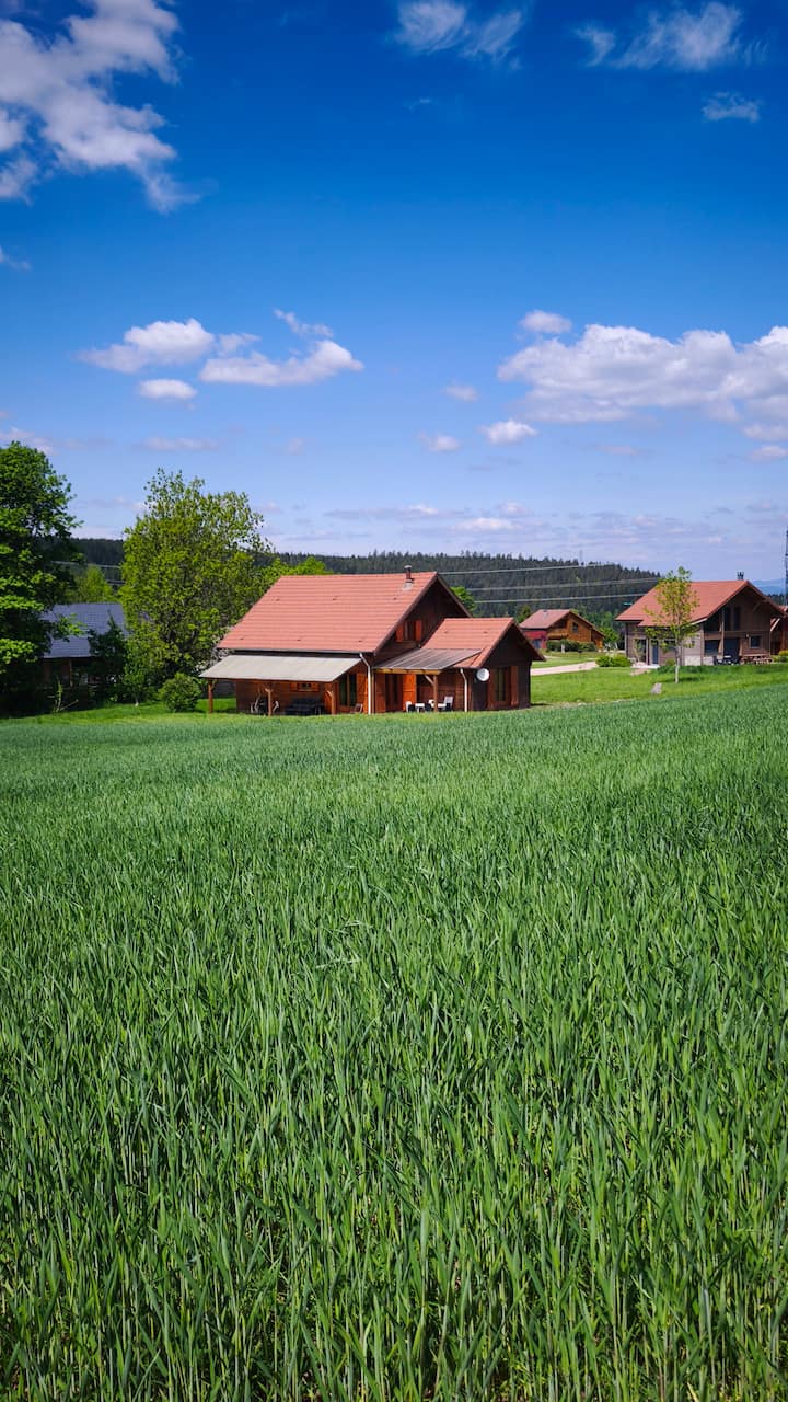 Chaleureux Chalet Au Calme Dans Le Massif Vosgien - Corcieux