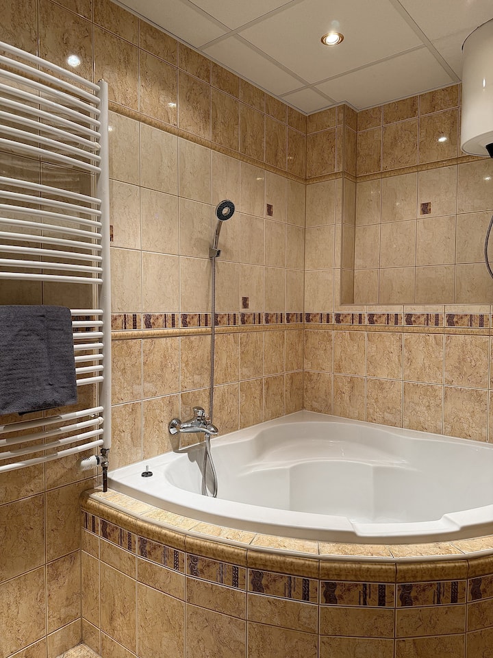 Carlsbad Apt Near City Center - Karlovy Vary