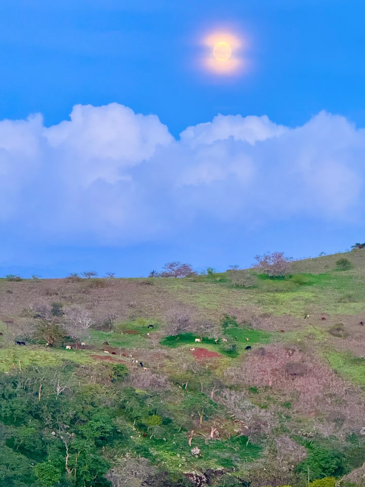 Mountain Sunrise Studio - O‘ahu, HI