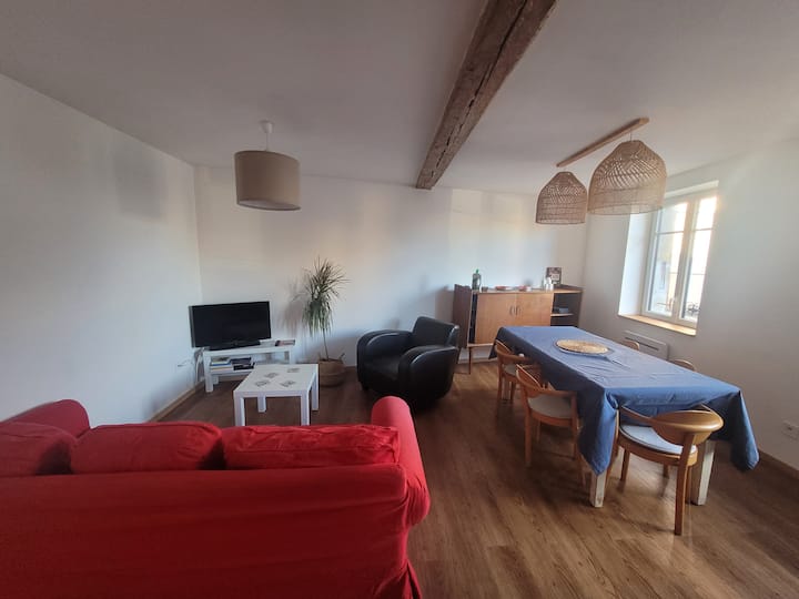 Bel Appartement Très Lumineux Centre Ville - Castres