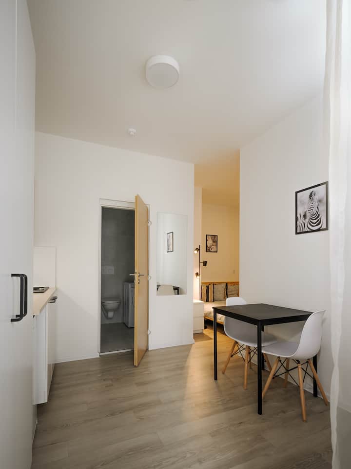 Residence Seifert - Chic Studio For Work&travel - Praga