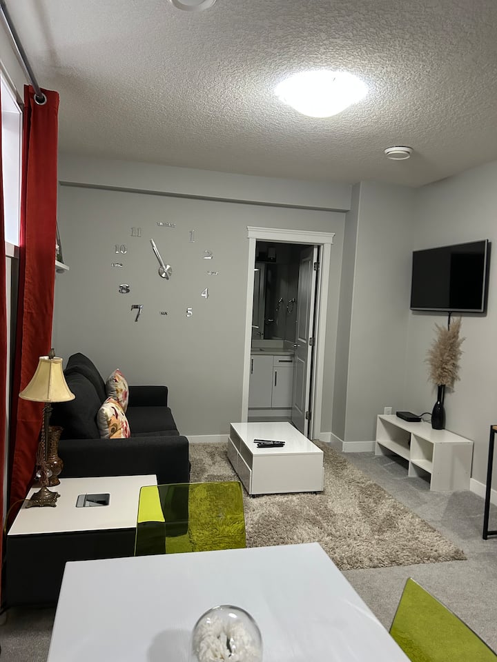 Beautiful Basement Suite - Edmonton