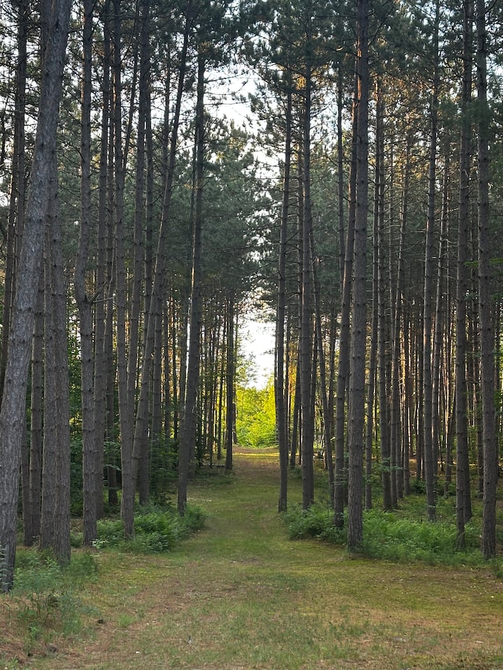 Private 56-acre Quiet Campground With Cozy Cabins! - Fine, NY