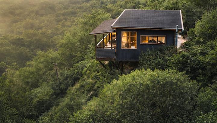 Knysna Forest Studio • Views - Knysna