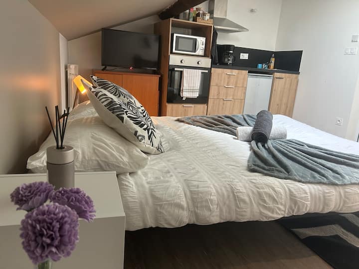Studio Confort Gare Châteaucreux Wifi Autonome - Saint-Étienne