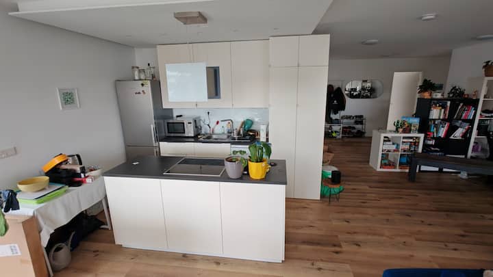 Lumineux Appartement Tout éQuipé - Kehl