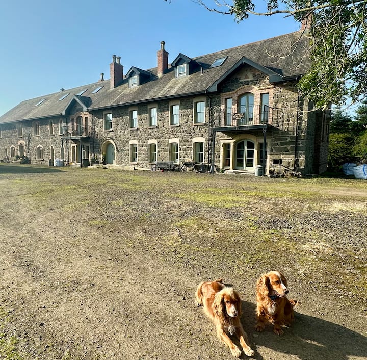 Dog Friendly Staycations At Riverside Mill - Ballymoney