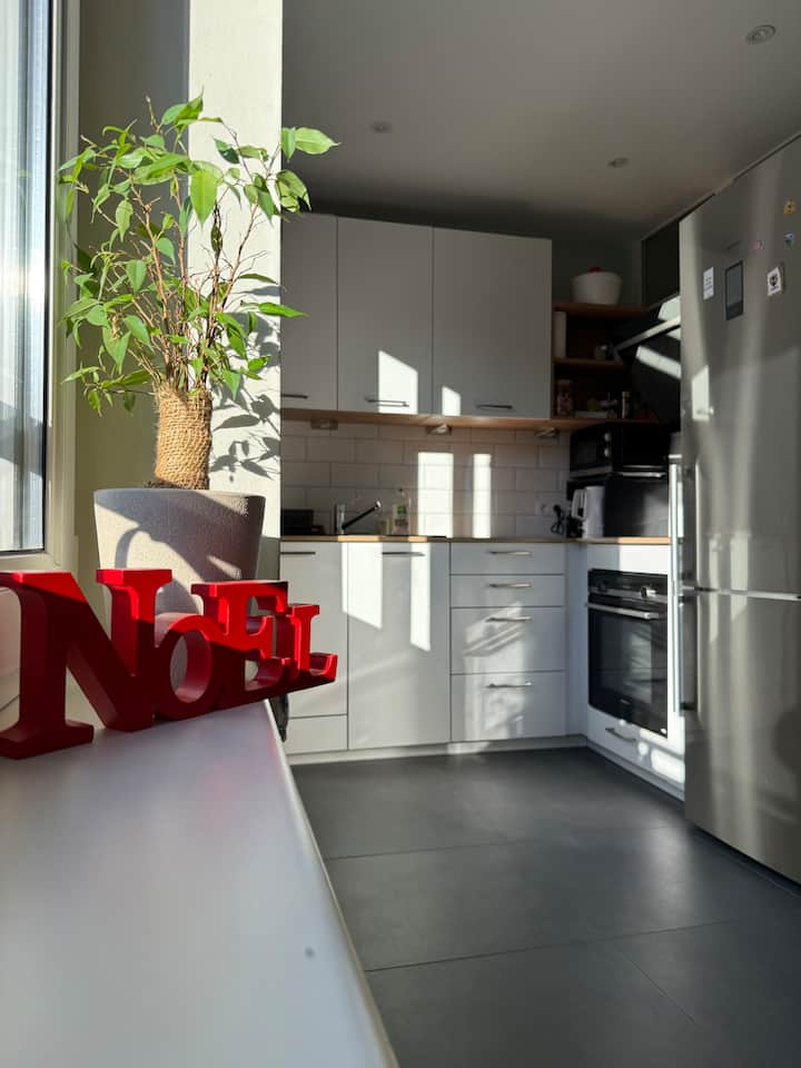 Appartement 3 Pièces Strasbourg - Schiltigheim