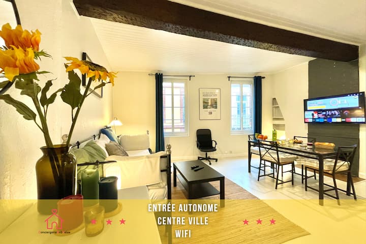 * Loft Citadin * Centre Ville Historique - Wifi - Tolosa, Francia