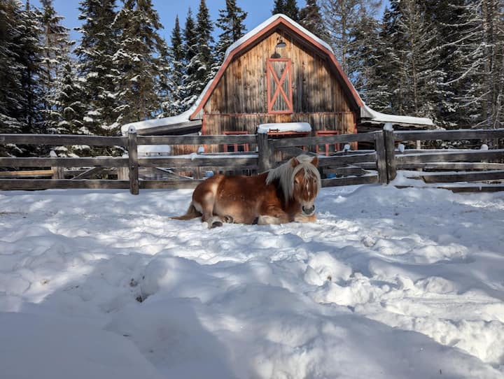 Chalet En Pleine Nature & Spa Privé - Sainte-Agathe-des-Monts