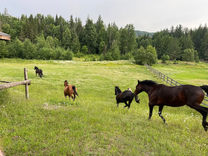 Chalet En Pleine Nature & Spa Privé - Sainte-Agathe-des-Monts