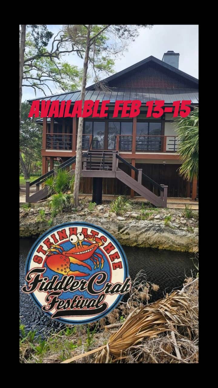 Tropical Oasis - Steinhatchee, FL