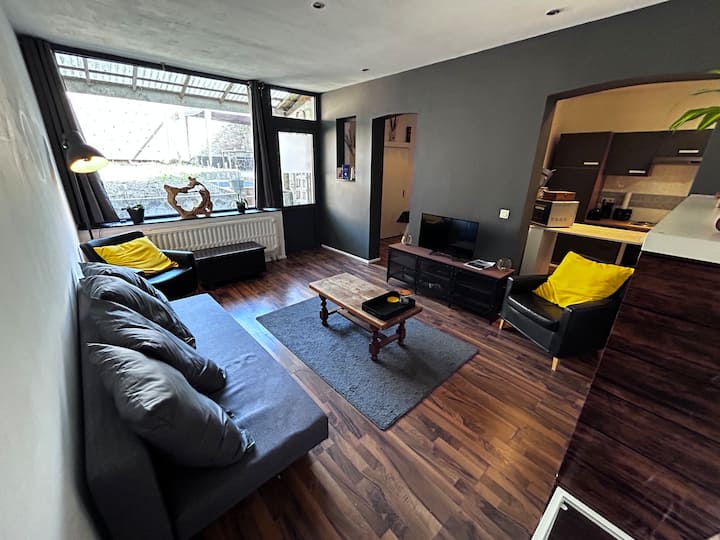 Grand Appartement Avec Jardin Proche Du Centre - Namur