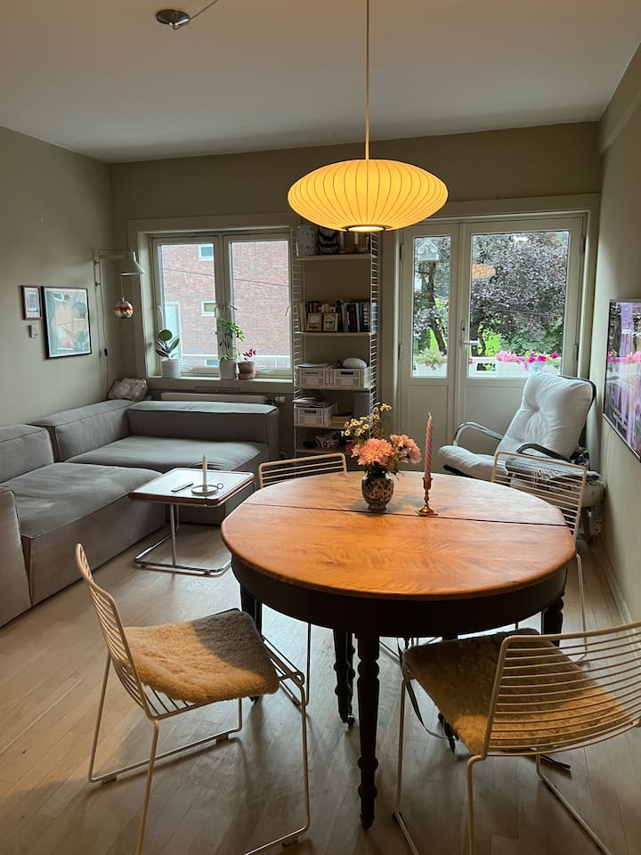 Sentral Leilighet I Oslo - Oslo