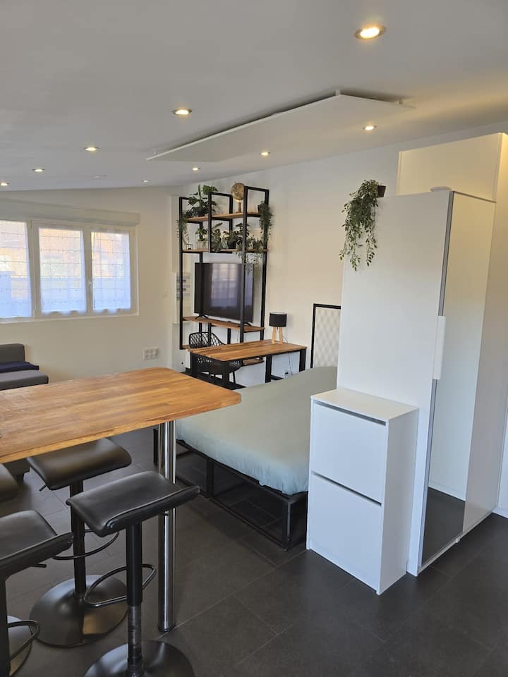 Loft Individuel - Wittenheim