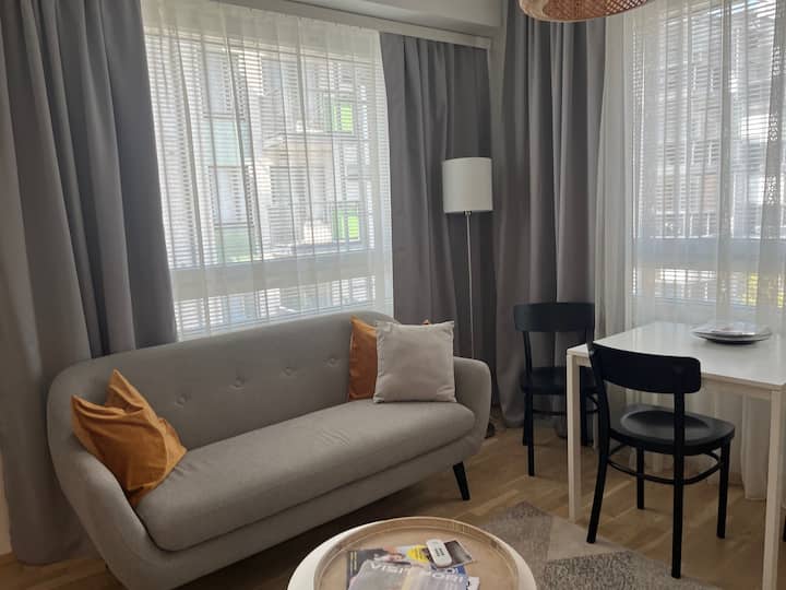 Stayed In An Apartment Where Everything Is Nearby - Pori