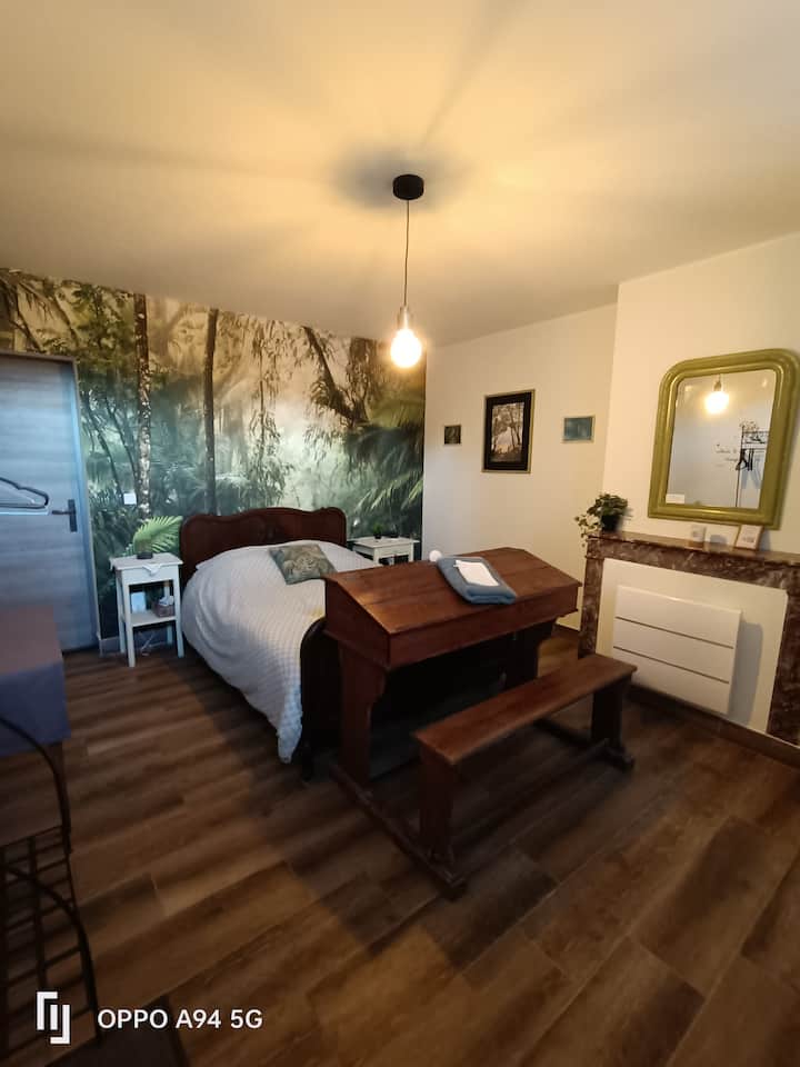 Chambre "Forestière" Au Rdc- 10 Boules B&b - Aubigny-sur-Nère