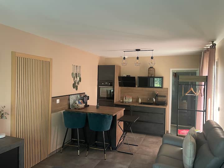 Studio 28 M2 Indépendant Dans Maison Plain Pied - Rumilly