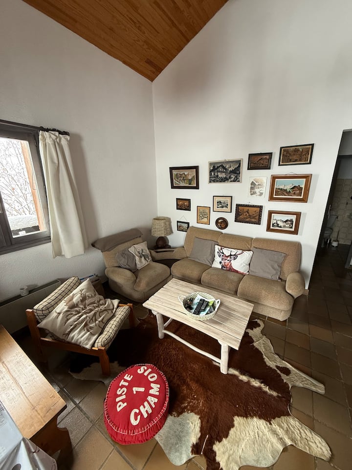 Appartement Cosy Avec Vue Mont-blanc & Pistes - Praz-sur-Arly