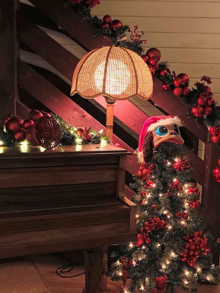 Secluded 20 Acre Winter Wonderland Getaway - Manitoba