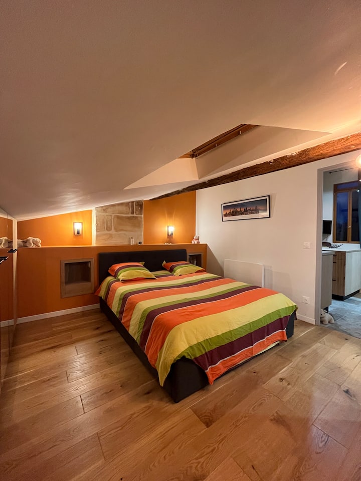 Notre Dame Vue Sur Les Toits - Bordeaux