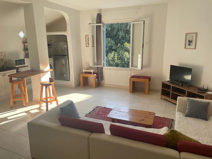 Appartement Meublé S+1 Au Centre - Tunis