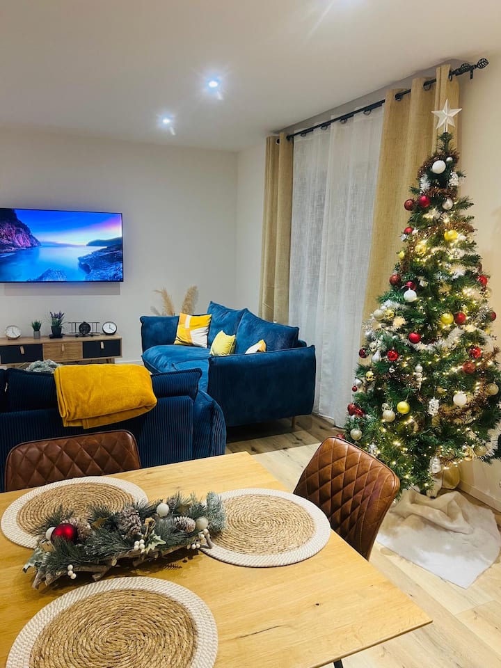 Alsace Appartement à Colmar Climatisé Et Parkings - Colmar