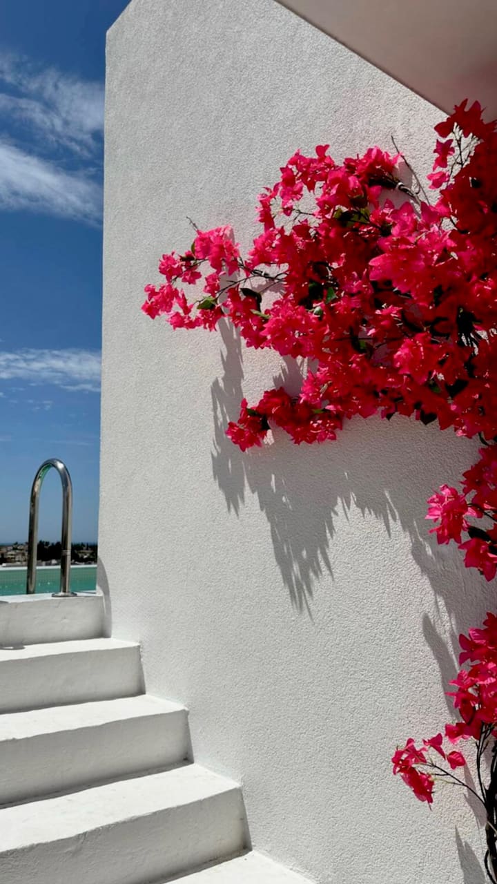 Mediterranean Oasis - Cyprus