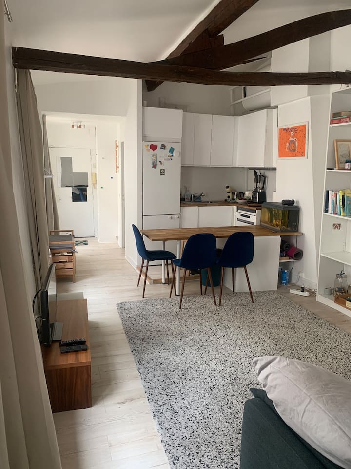 Luxembourg Vavin Grand Studio - Paris