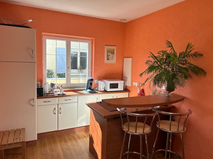 Petite Maison Indépendante - Bron
