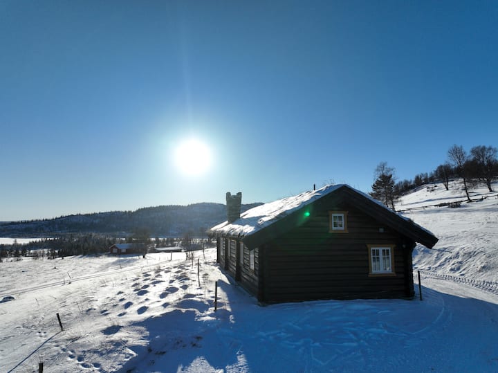 Hytte I Hemsedal - Skrøyvestølane
