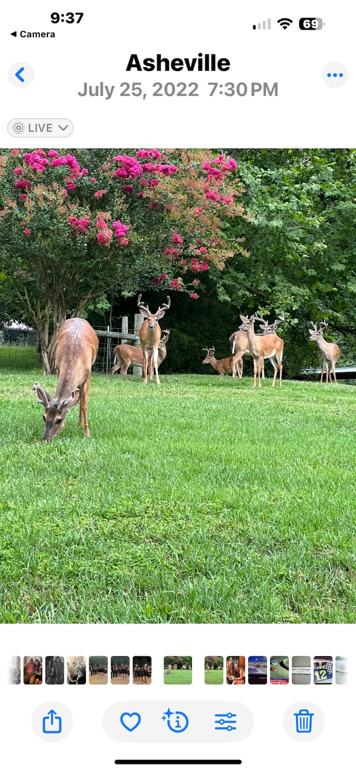 Lovely Park Home With Scenic Views - Asheville, NC