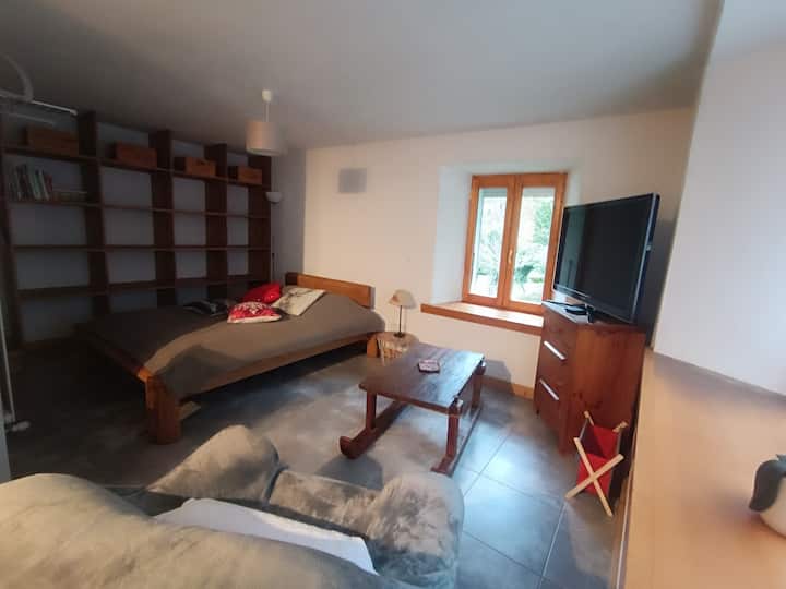 Studio Meublé + Cour (+ Chambre 1 à 2 P En Option) - Les Carroz d'Arâches