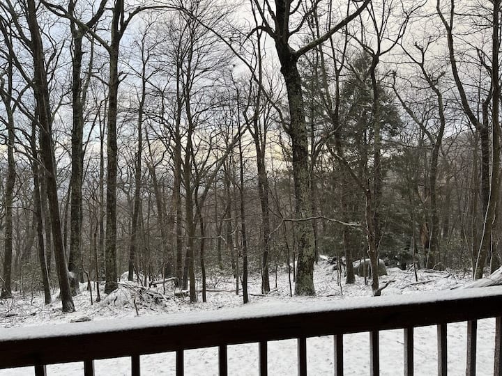 1 Bedroom Condo, Walk To The Slopes ! - Virginia