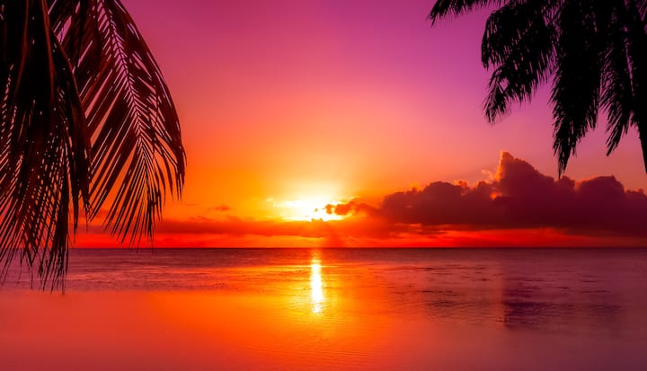 Cozy Cottage - Free Parking Near Beach - Fort Lauderdale