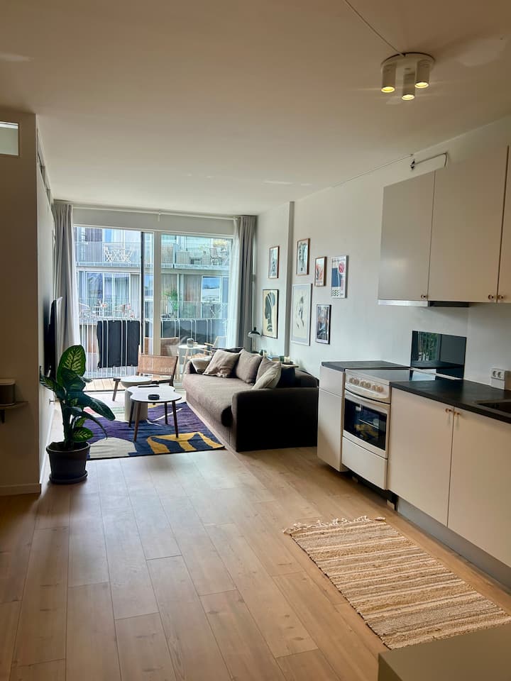Best Location In The Heart Of Cph - Copenhagen