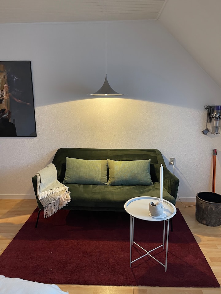 Charming 1br Retreat+free Parking –Great Location! - Århus