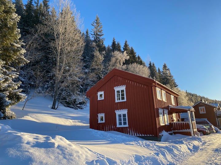 Fantastiskt Hus I Unika Tottens By! - Åre