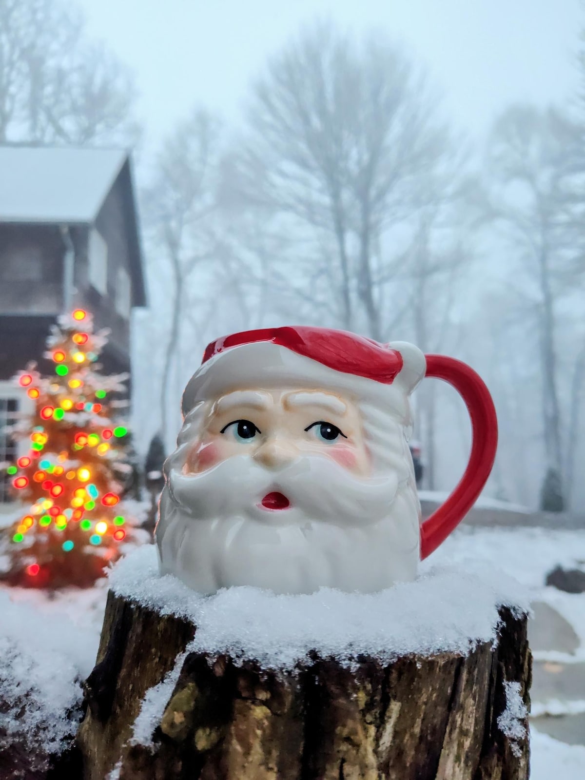 Casa de campo Pheasant Ridge - Cabañas en renta en Maggie Valley ...