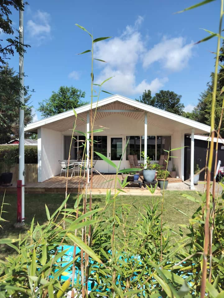 Surfers Paradise - 200 Meter Fra Vandkanten - Dinamarca