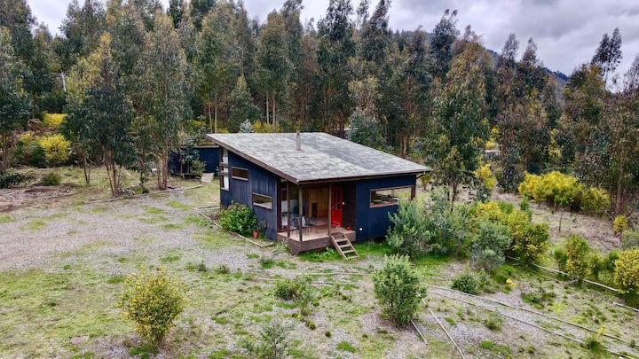 Descanso Total Entre Bosque Y Mar En Buchupureo - Cobquecura