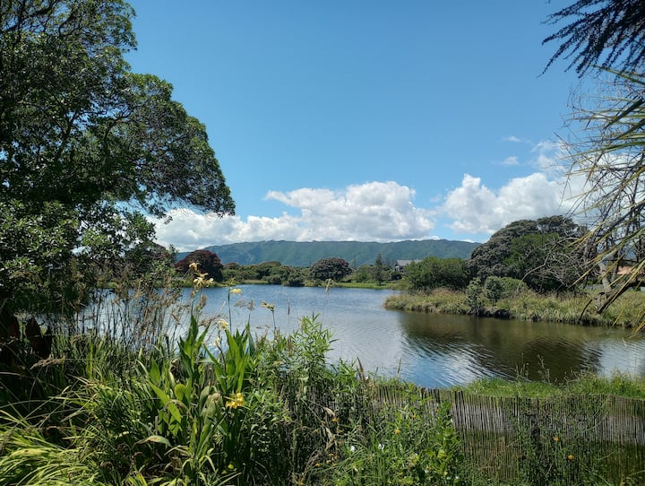 Beside The Lagoon - Waikanae Beach - Paraparaumu