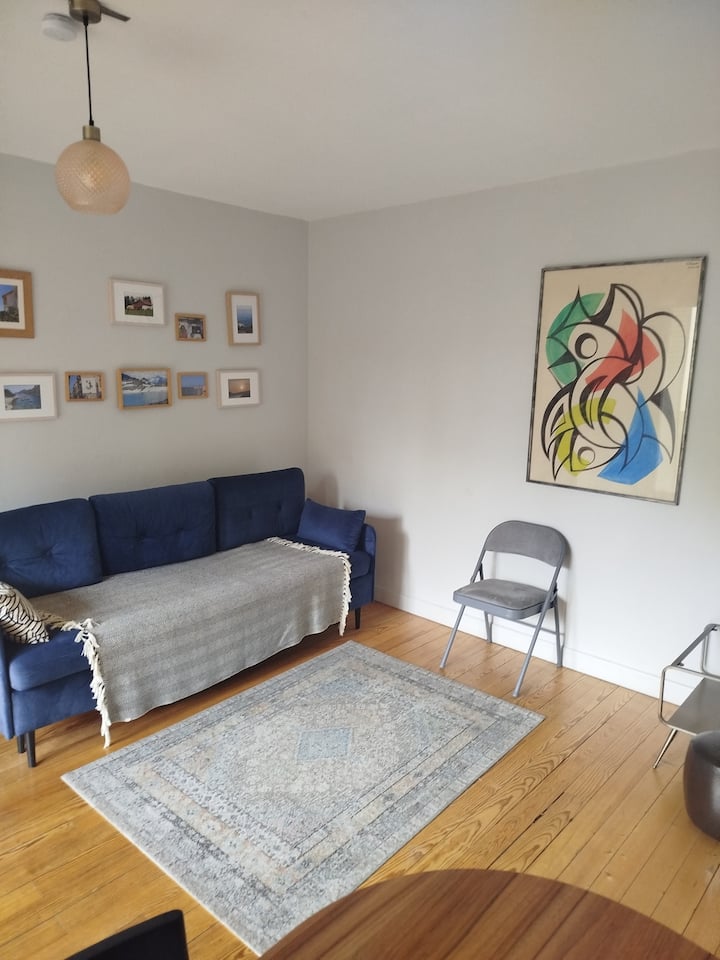 Appartement Cosy Côte Pavée - Toulouse