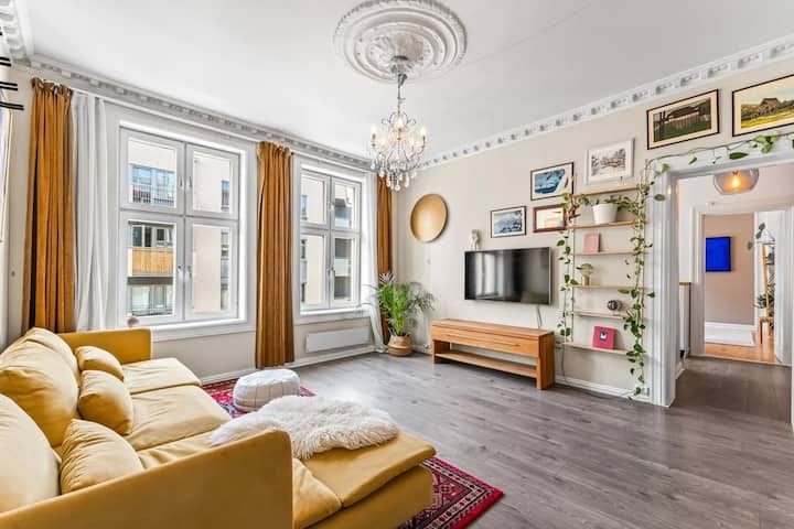 Spacious & Lovely  Central  Apartment - Oslo