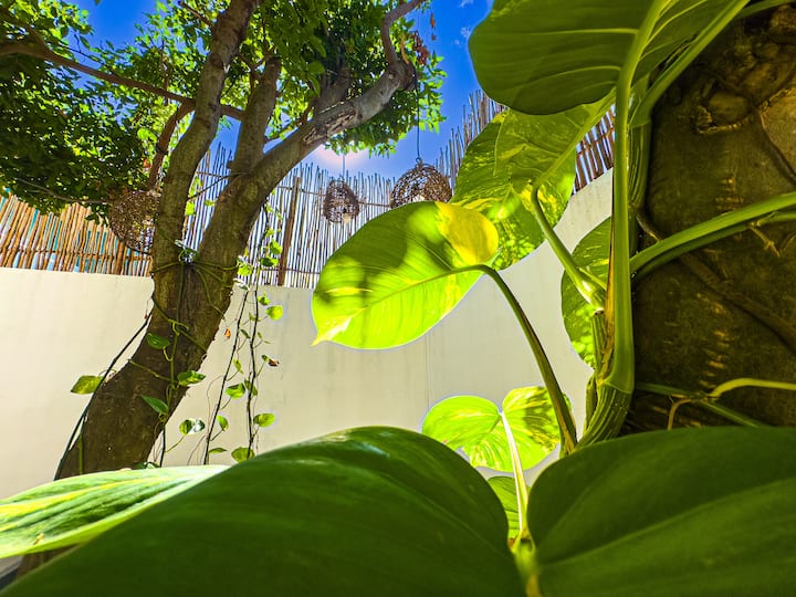 Duna El Airbnb En Isla Mujeres - Isla Mujeres