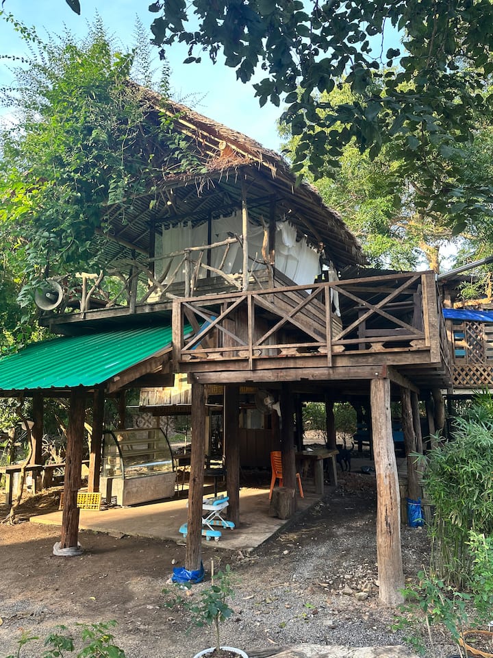 นอนแล้วได้คุณค่า ได้แรงบันดาลใจ - Ranong