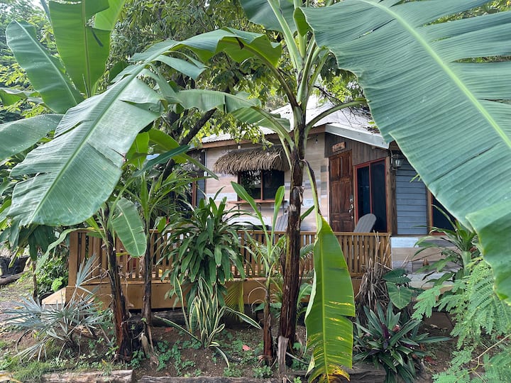 Gorgeous 2br Cottage With Stunning Ocean View - Negril