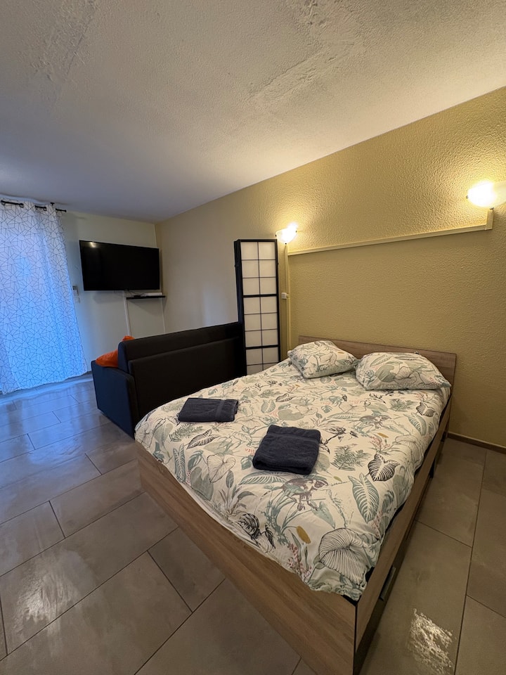 Studio Climatise Havre De Paix Parking - Lourdes